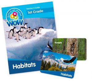 1st Grade | World of Words